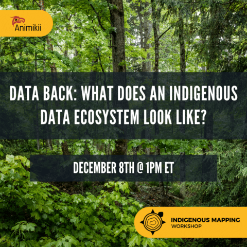 Indigenous Mapping Collective - Indigenous Mapping Workshop